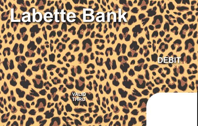 Debit Card Viewbook - Labette Bank