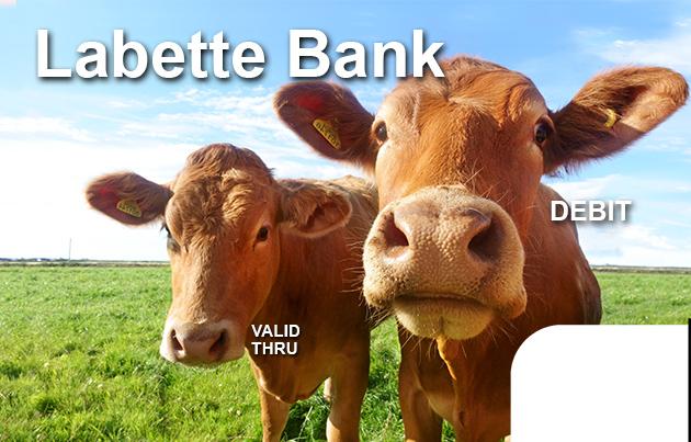 Debit Card Viewbook - Labette Bank