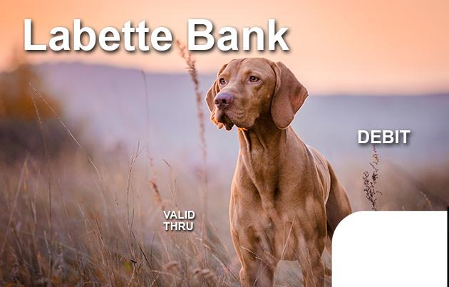 Debit Card Viewbook - Labette Bank