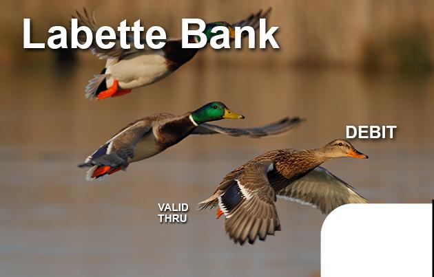 Debit Card Viewbook - Labette Bank
