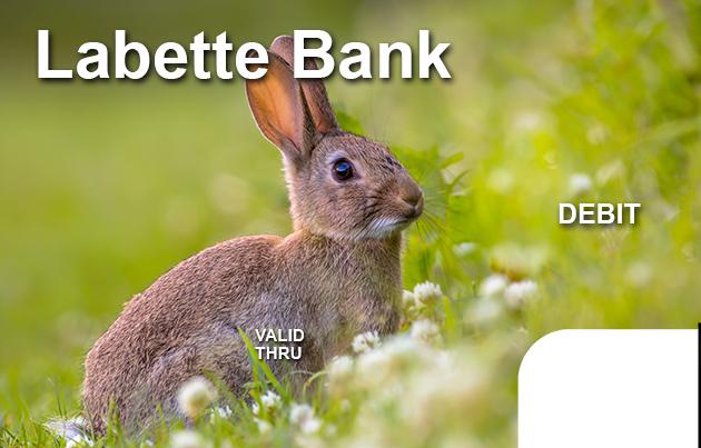 Debit Card Viewbook - Labette Bank