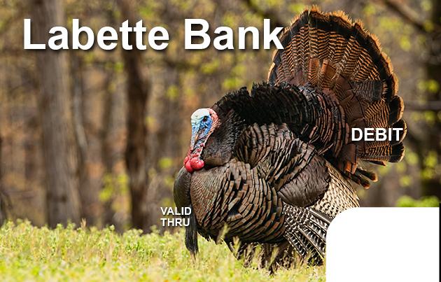 Debit Card Viewbook - Labette Bank
