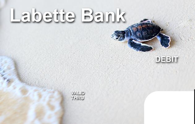 Debit Card Viewbook - Labette Bank