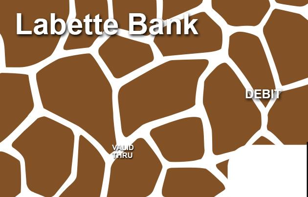 Debit Card Viewbook - Labette Bank