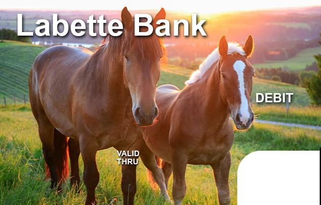 Debit Card Viewbook - Labette Bank