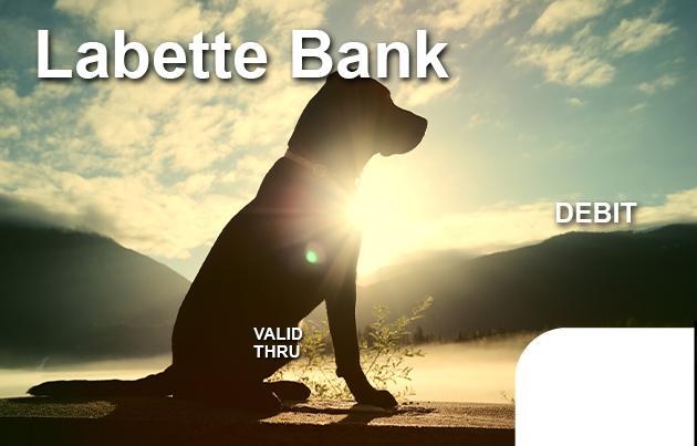Debit Card Viewbook - Labette Bank