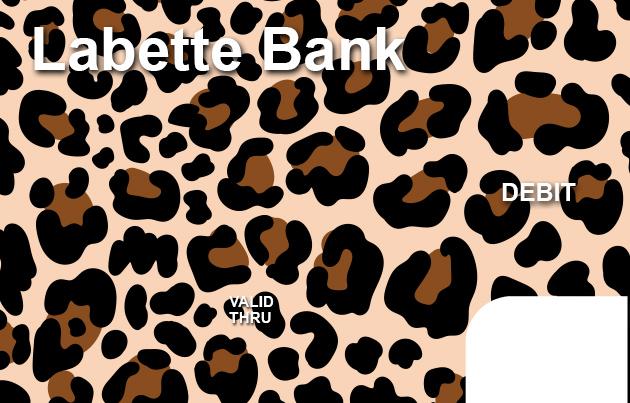 Debit Card Viewbook - Labette Bank