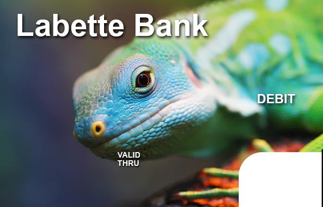 Debit Card Viewbook - Labette Bank