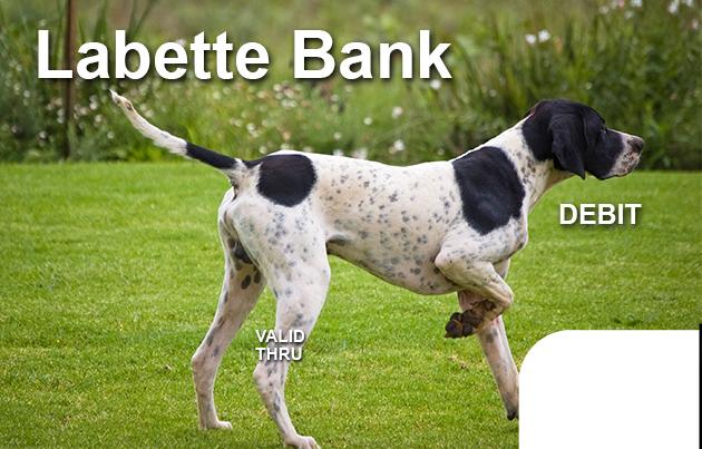 Debit Card Viewbook - Labette Bank