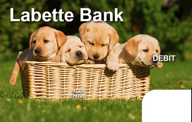 Debit Card Viewbook - Labette Bank