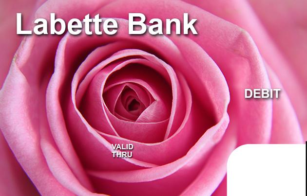 Debit Card Viewbook - Labette Bank
