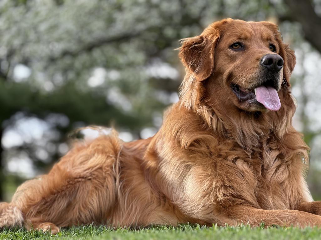 Calendar Photo Contest - Premier Community Bank