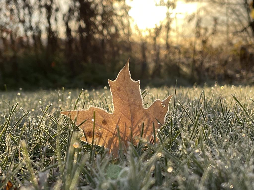 Calendar Photo Contest - Premier Community Bank